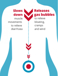 Gastro-Stop Plus: Fast Diarrhoea Relief | Gastro-Stop